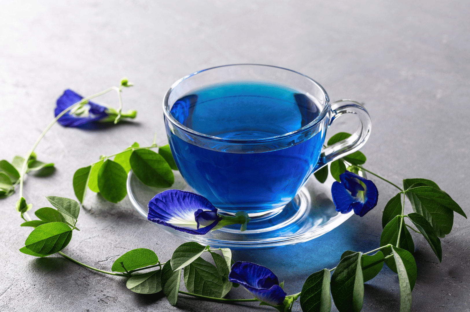 Butterfly Pea Flower Tea: Thailand's Magical Blue Tea Guide
